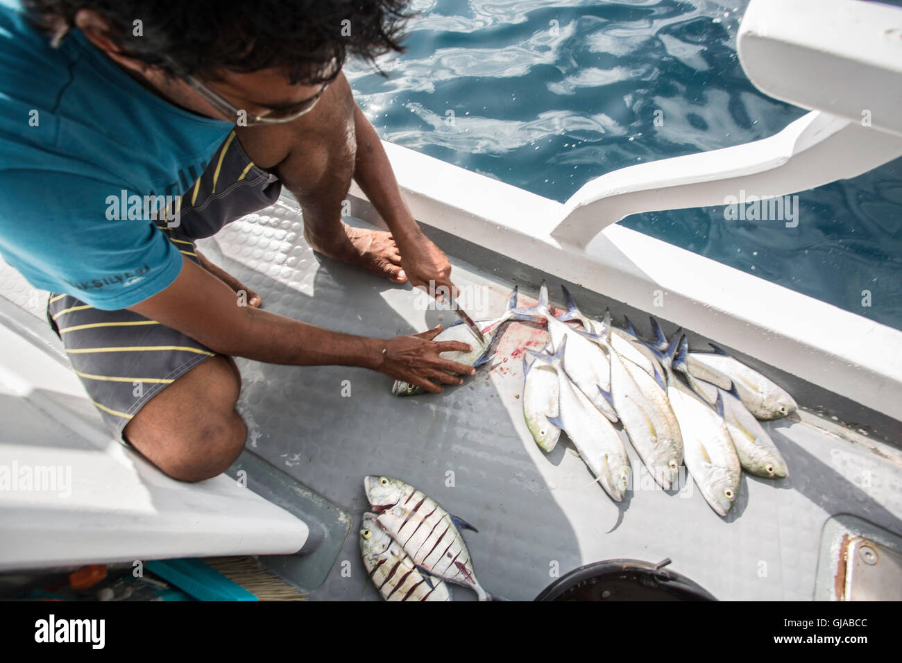 Disembowel hi-res stock photography and images - Alamy