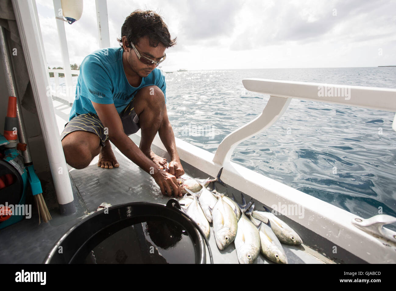 Disemboweling hi-res stock photography and images - Alamy