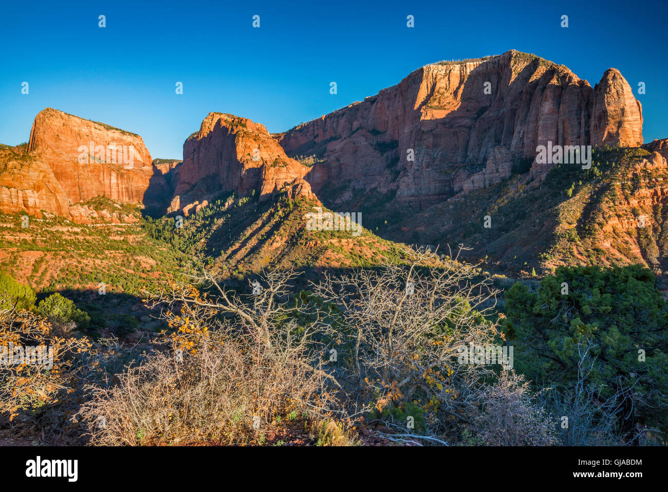 Nagunt Mesa, Timber Top Mountain, Shuntavi Butte, view from Kolob ...