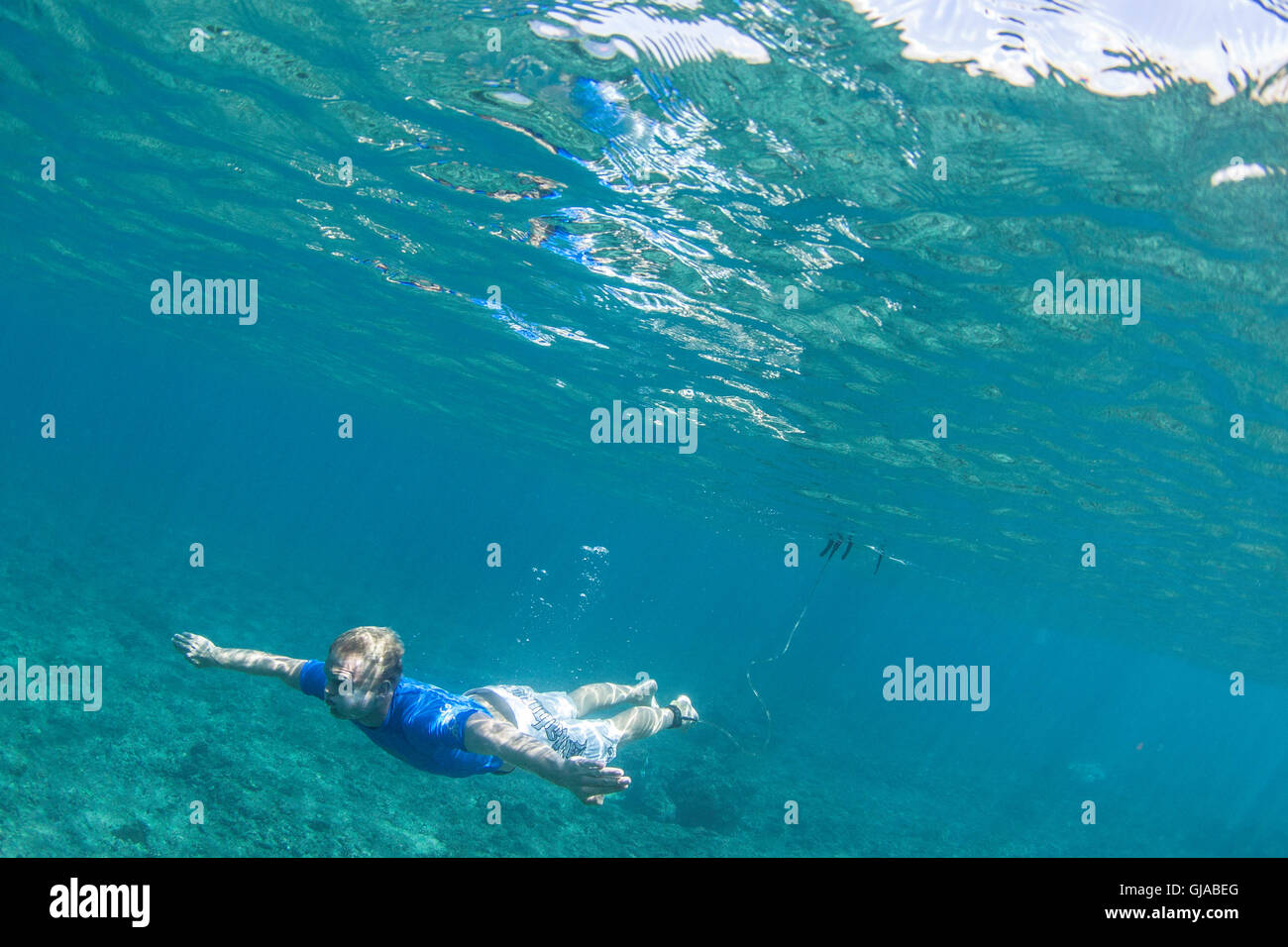 Surfers, is diving, waiting for the next wave Stock Photo - Alamy