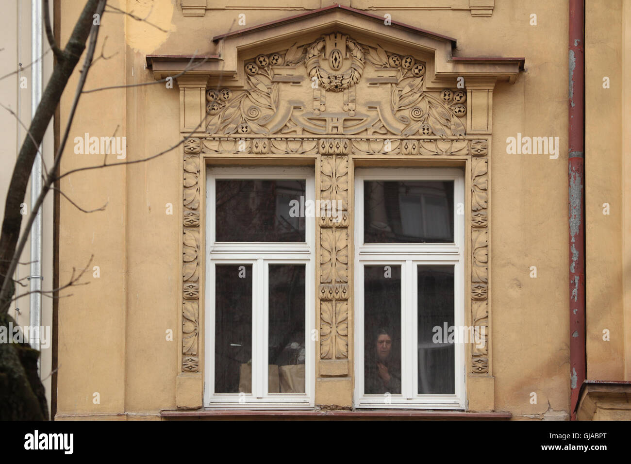 Art Nouveau stucco decoration on the revenue house in Cechova Street in ...