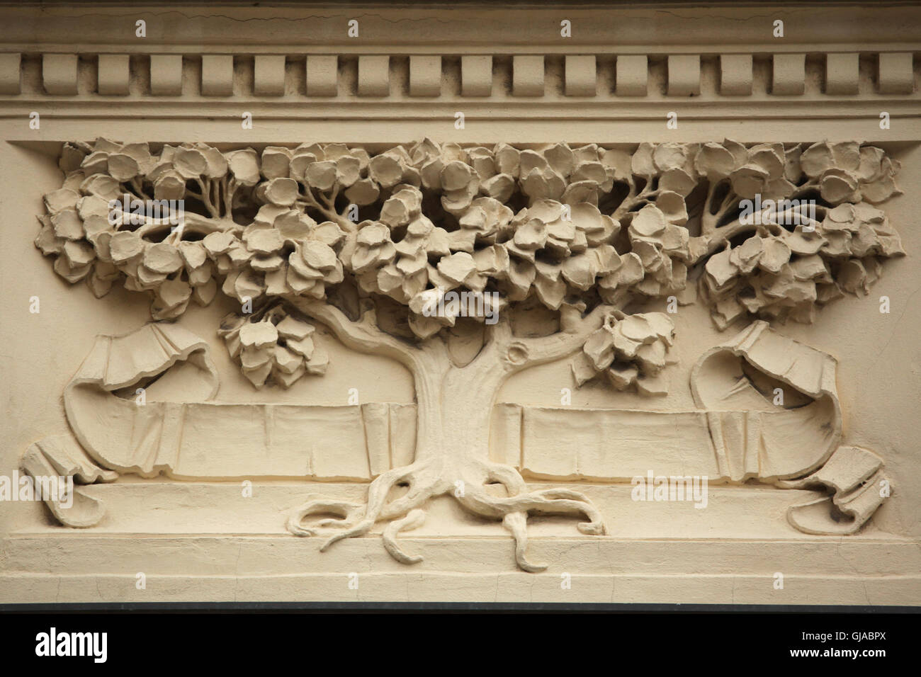 Linden tree depicted on the Belvedere House in Kamenicka Street in ...