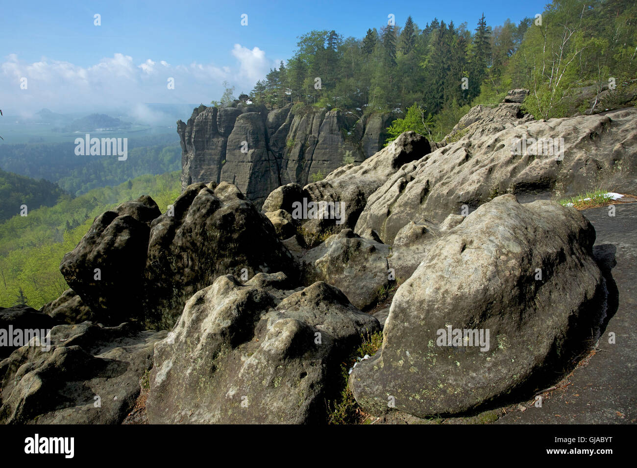View, sandstone rocks, wide ravine, Elbtal, Zirkelstein Stock Photo - Alamy