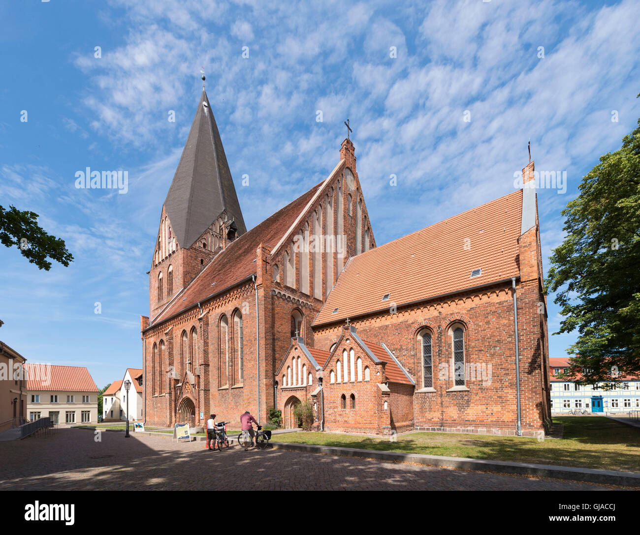 Germany, Mecklenburg-Western Pomerania, Röbel, Nikolaikirche, tree ...