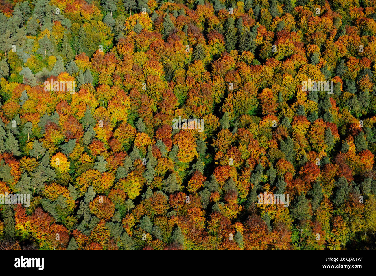 Stuttgart vaihingen hi-res stock photography and images - Alamy