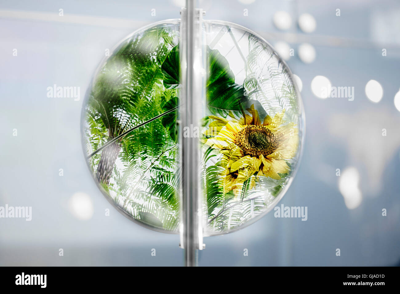 Glass projection hi-res stock photography and images - Alamy