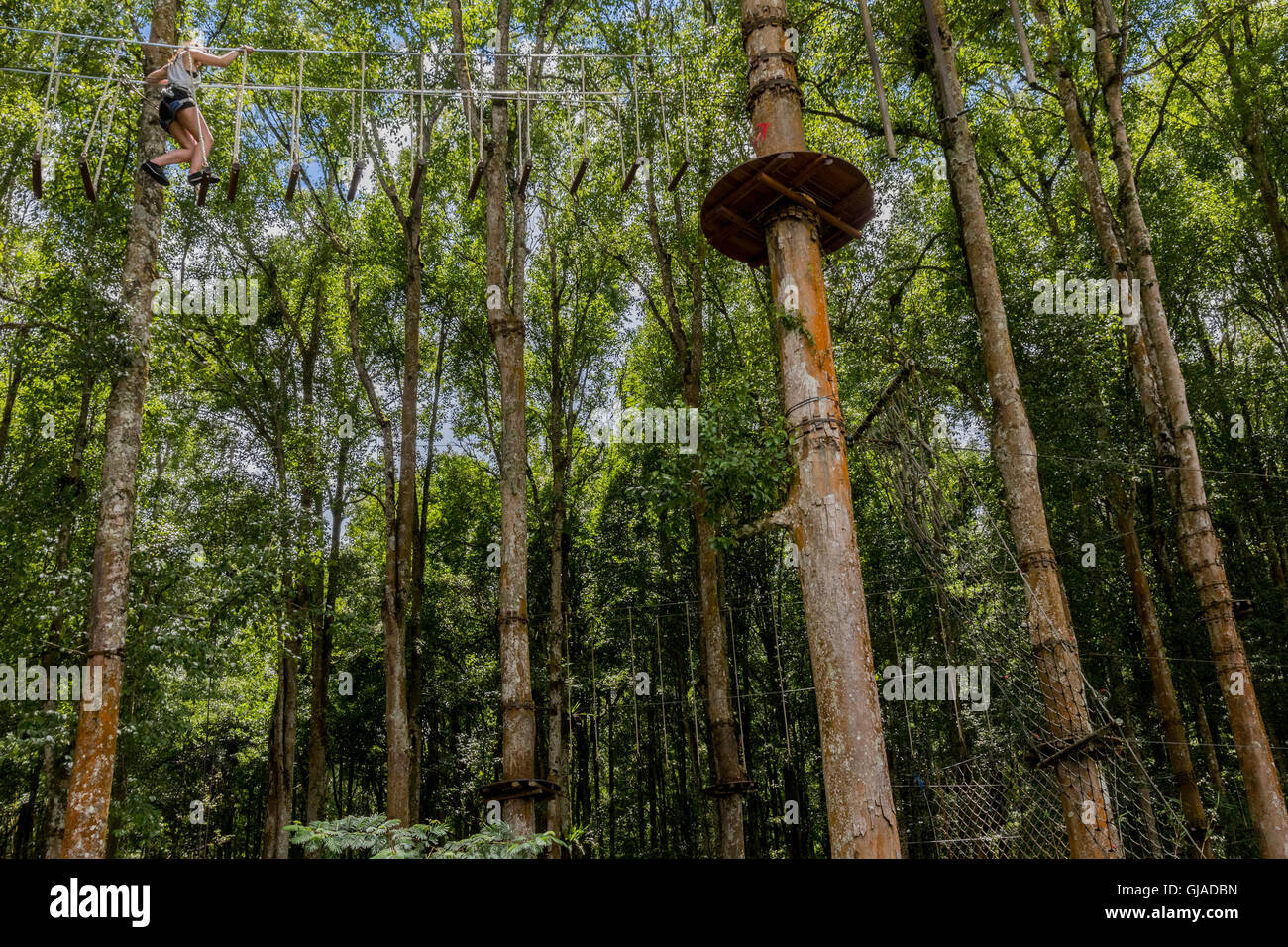 Treetop adventure park hi-res stock photography and images - Alamy