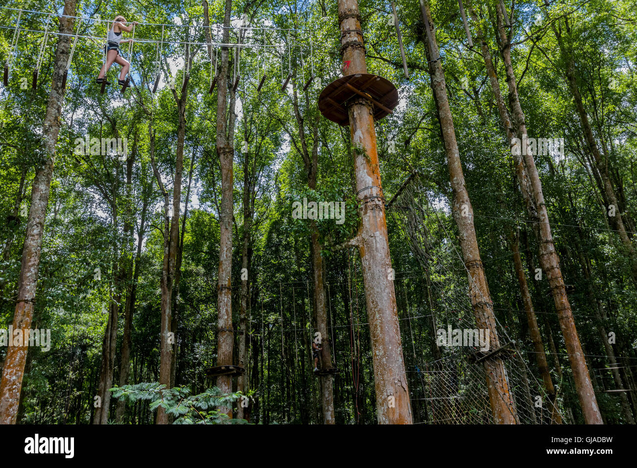 Treetop adventure park hi-res stock photography and images - Alamy