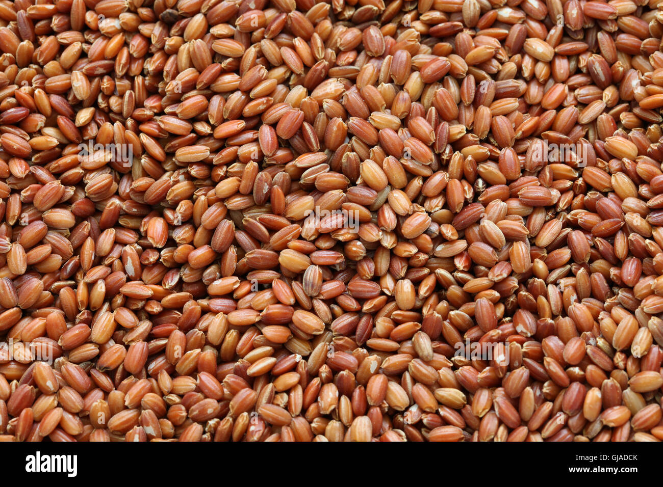 Bhutanese hi-res stock photography and images - Alamy