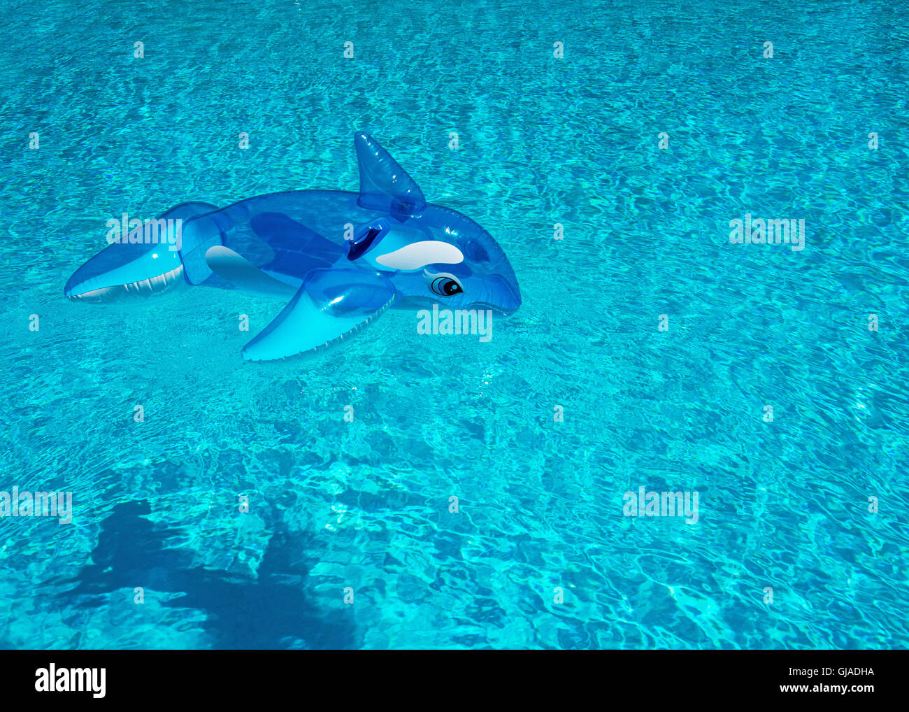 An inflatable dolphin toy shot from above in a deep swimming pool, room ...