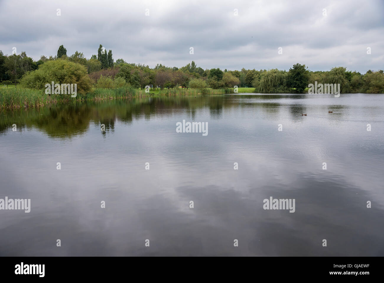Three ponds valley poland hi-res stock photography and images - Alamy