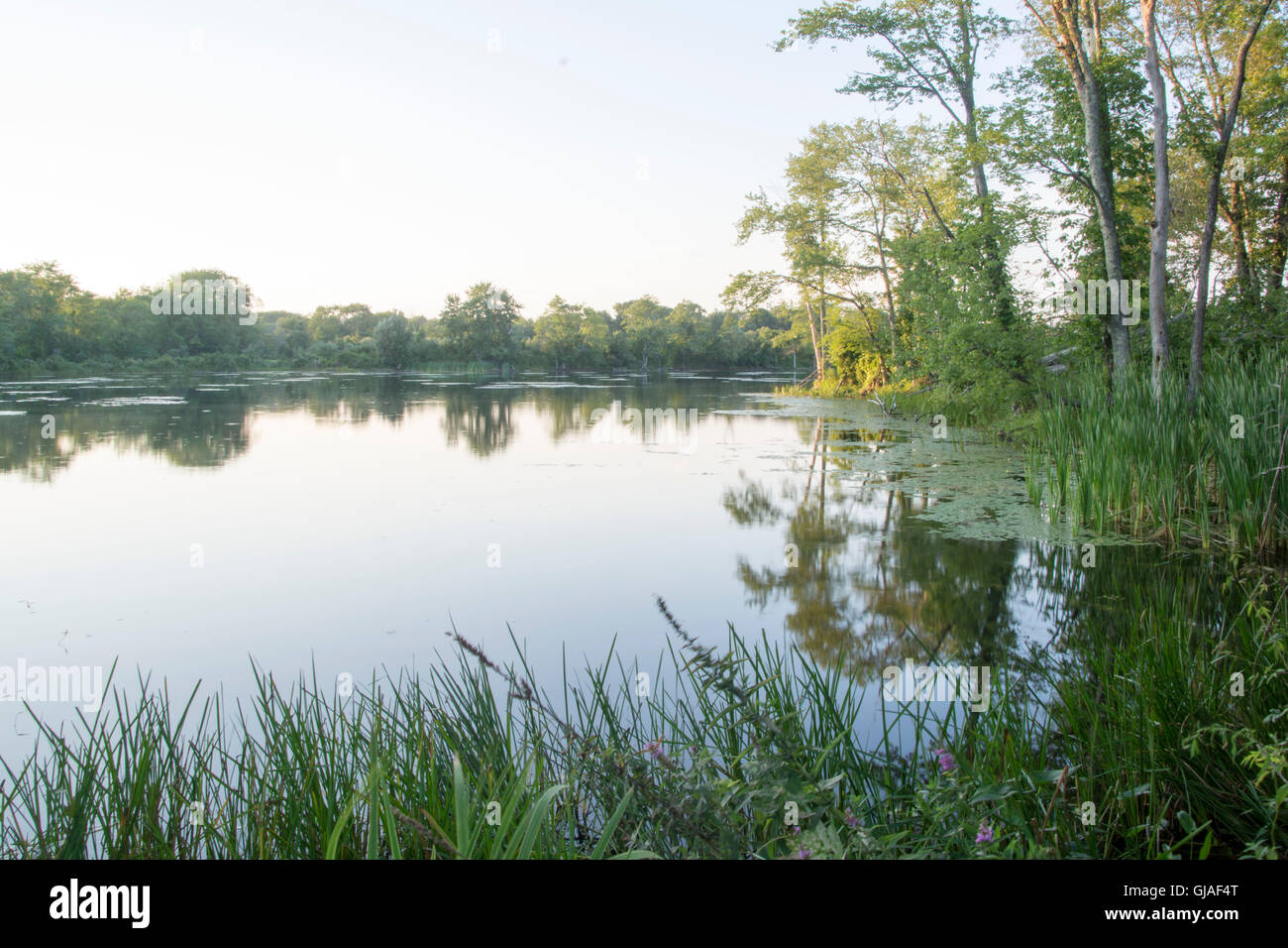 Pond view hi-res stock photography and images - Alamy