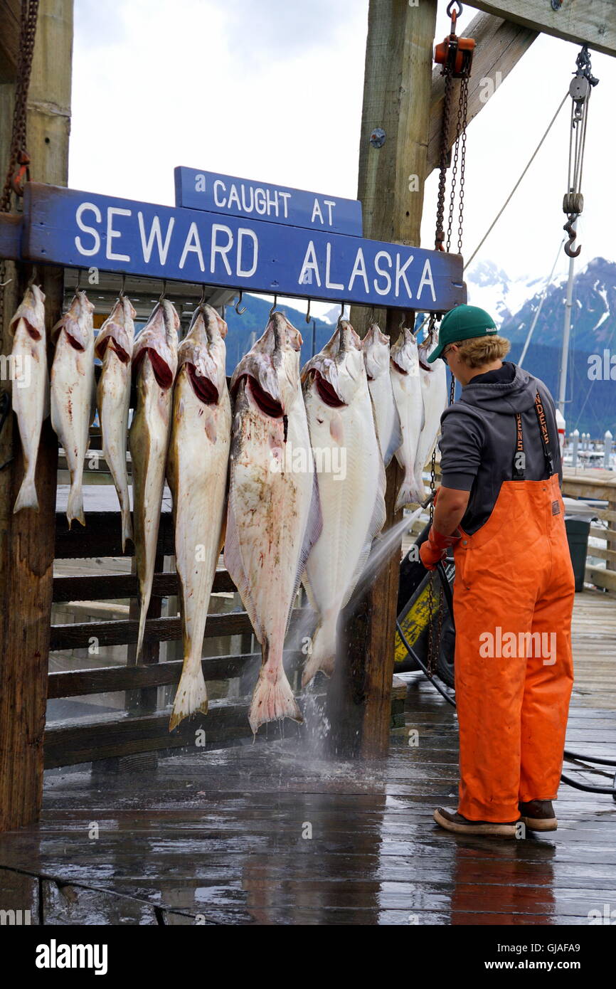 Cleaning a fishing boat hi-res stock photography and images - Alamy