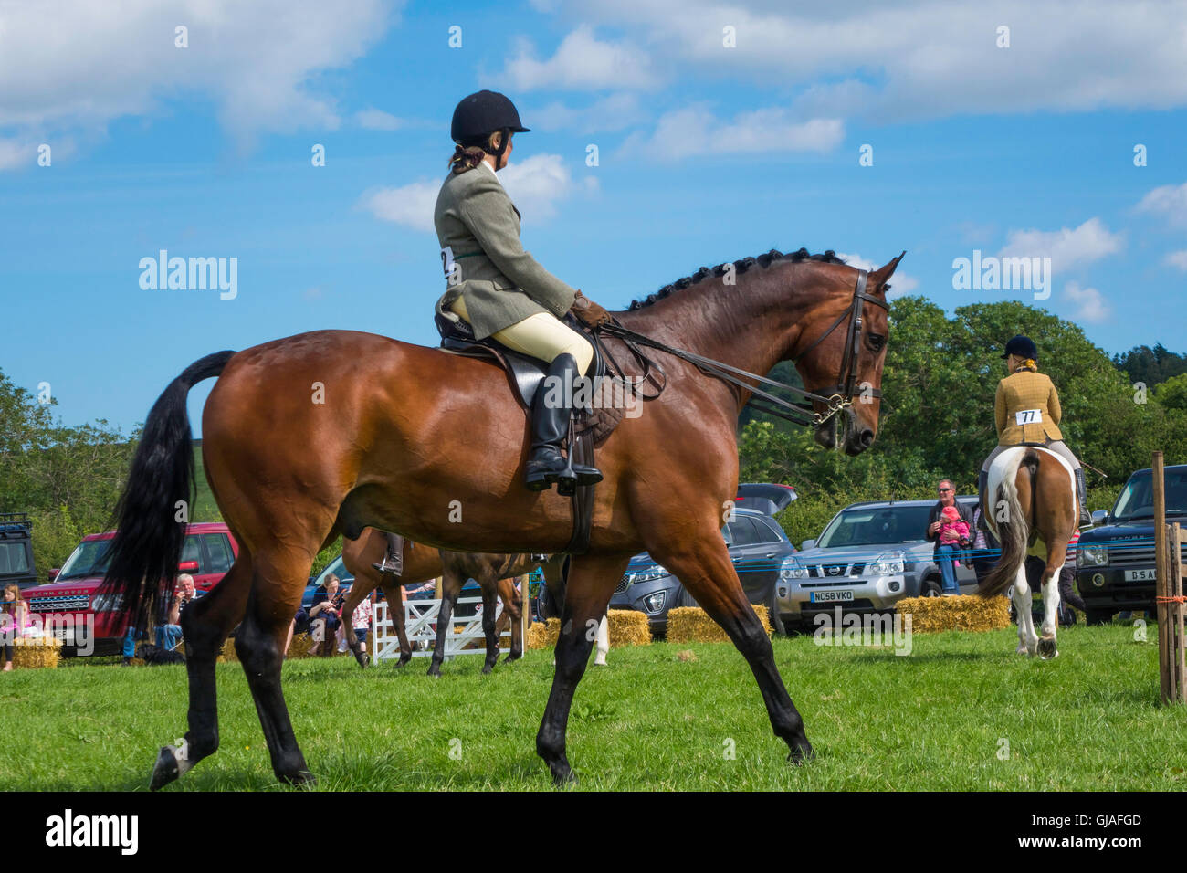 Hunter Horse Lord James in the show ring at the Danby Agricultural Show ...