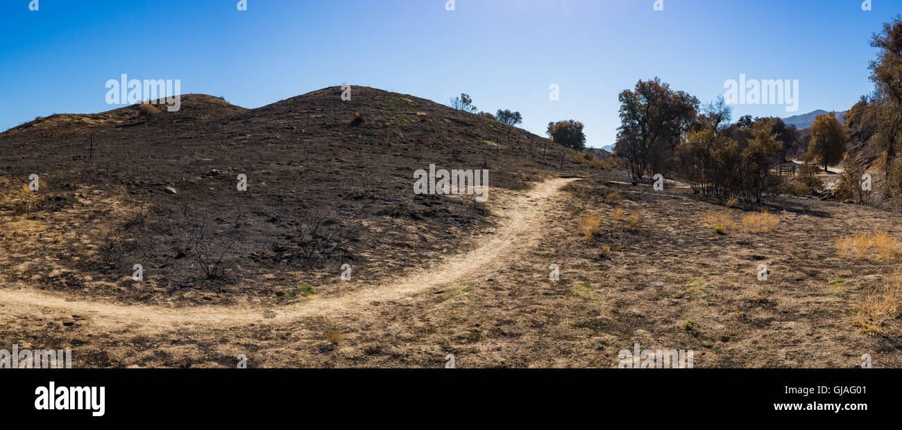 Winding dirt path leads through rolling hills of southern California ...