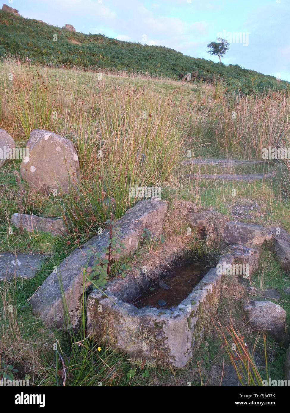 Little John's Well at the Longshaw Estate on the border of Sheffield ...