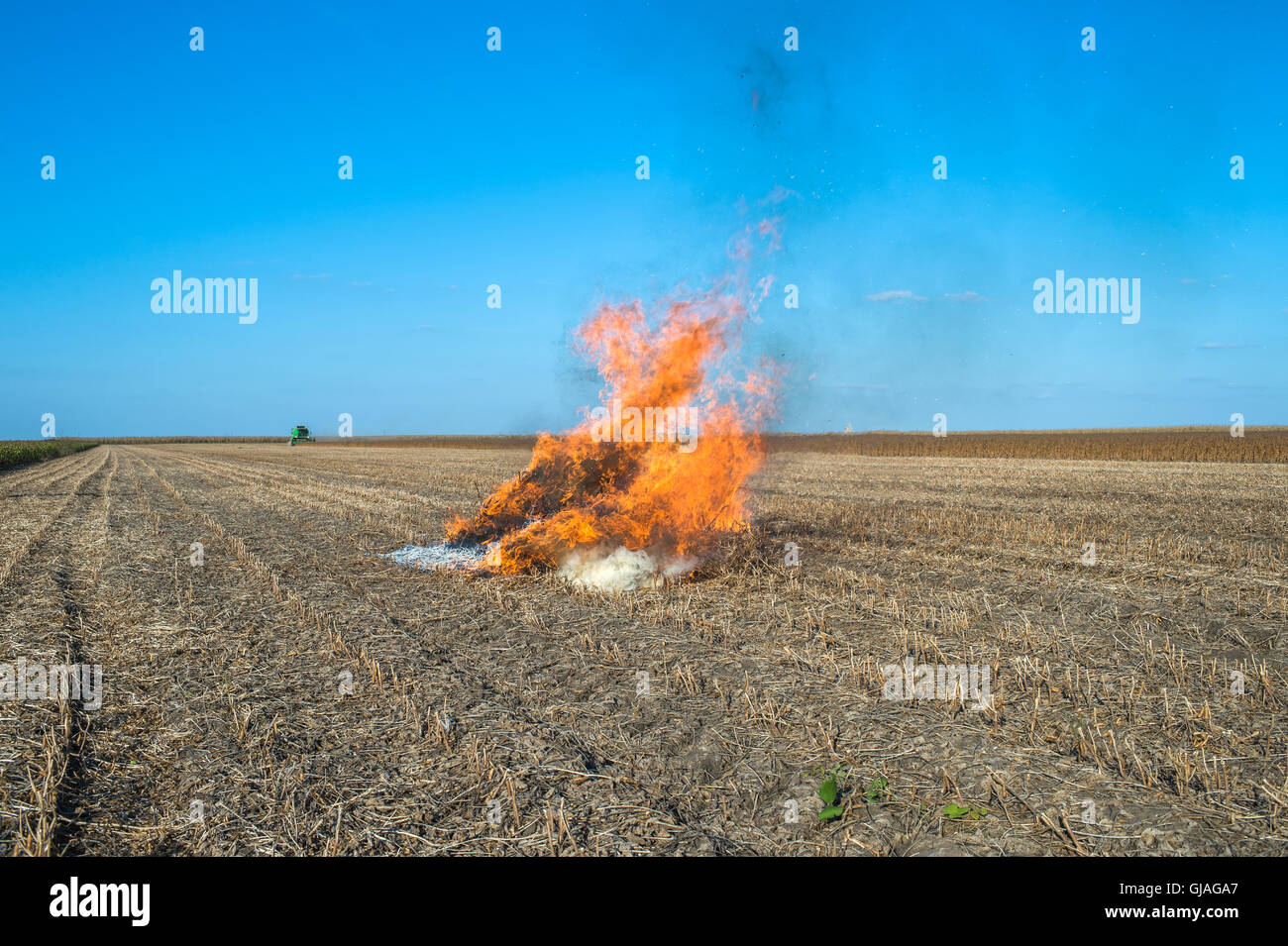 Burning straw in a field Stock Photo - Alamy