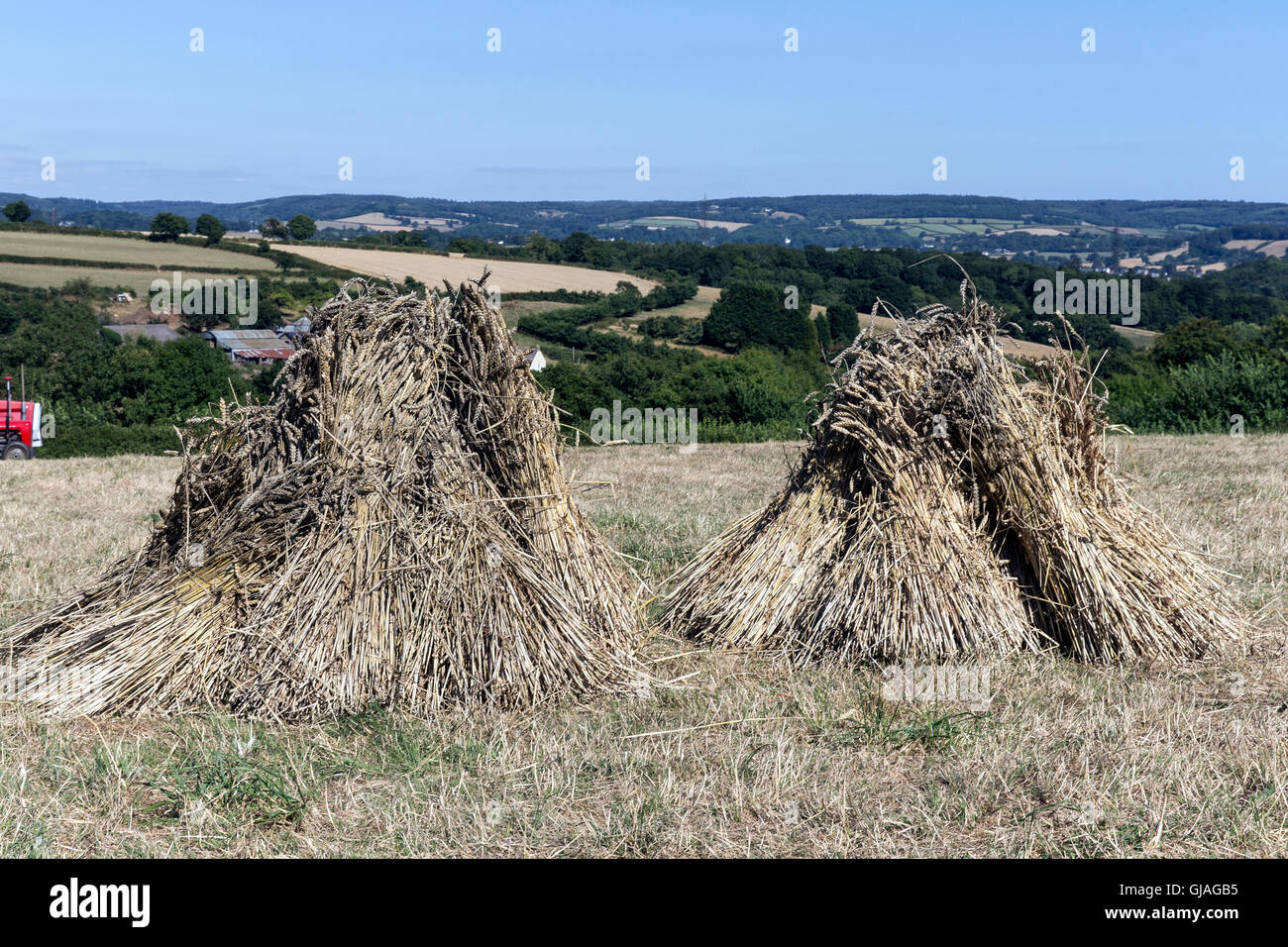 hayrick haystack pile crop farm rick stack golden agriculture bundle ...