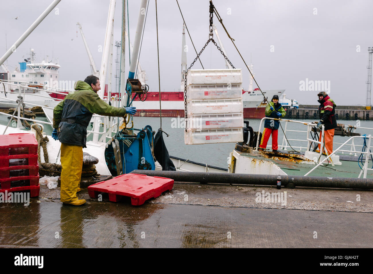 North Sea fishermen landing their catch at Peterhead Fish Market Stock ...