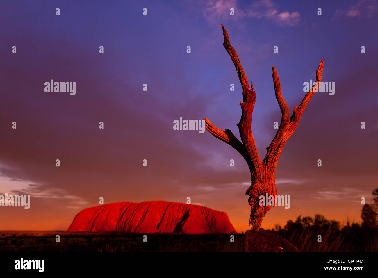 Sunset Uluru Kata Tjuta National Park The BEST Kata Tjuta Sunset Tours