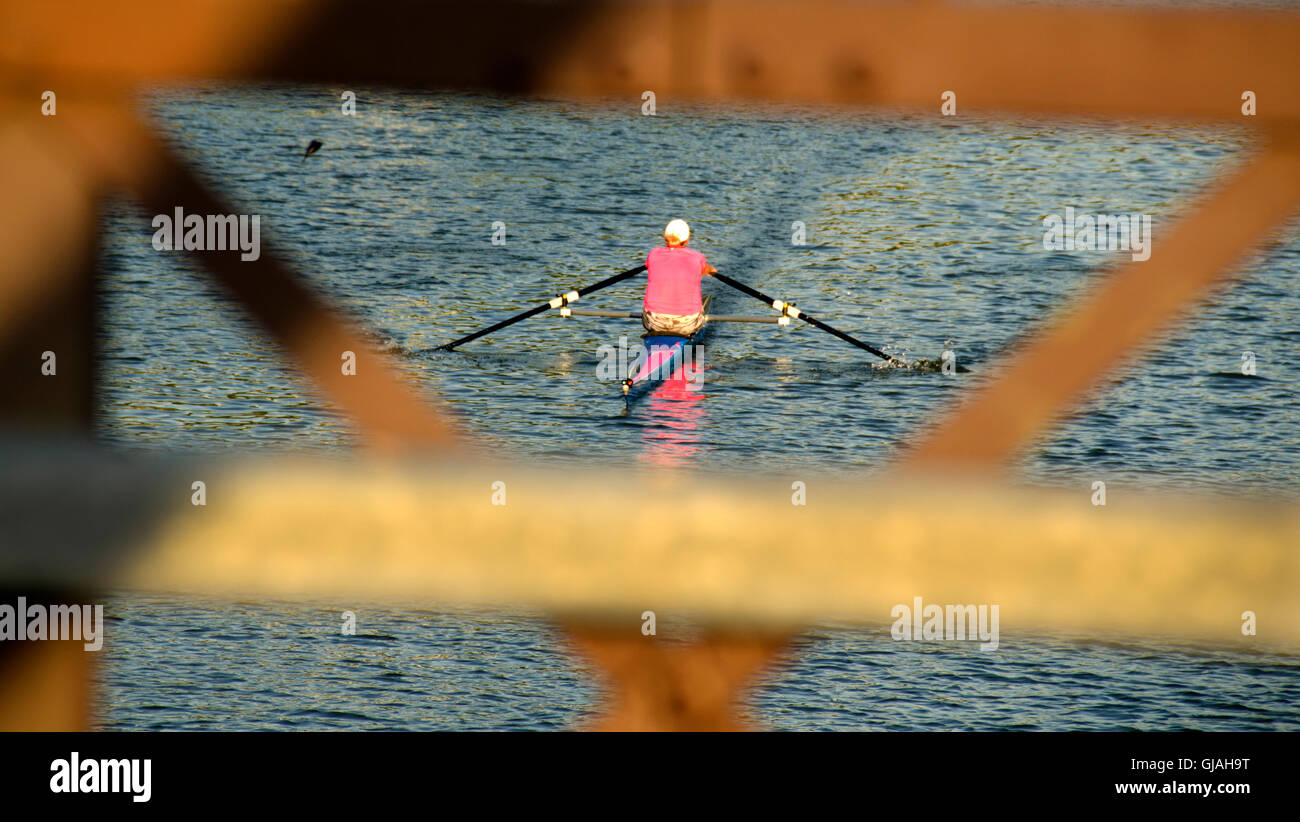 Single scull rowing boat hi-res stock photography and images - Alamy