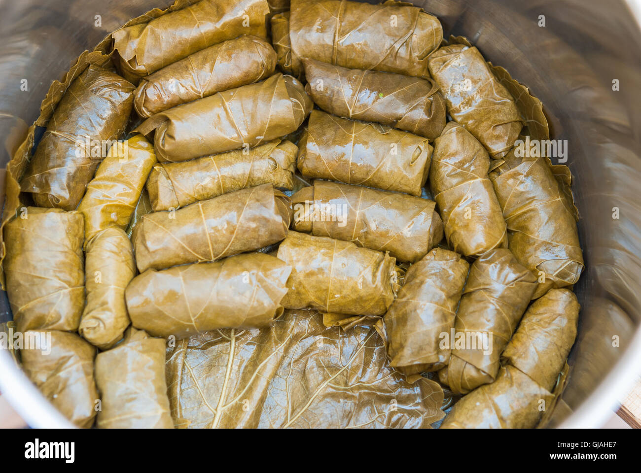 Steps of cooking dolma(tolma, sarma) from grape leaves stuffed with ...