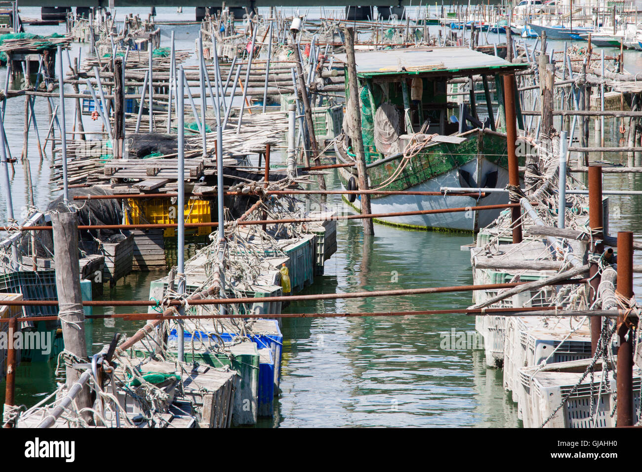 cages for shellfish fishing in Chioggia, the little Venice Stock Photo ...