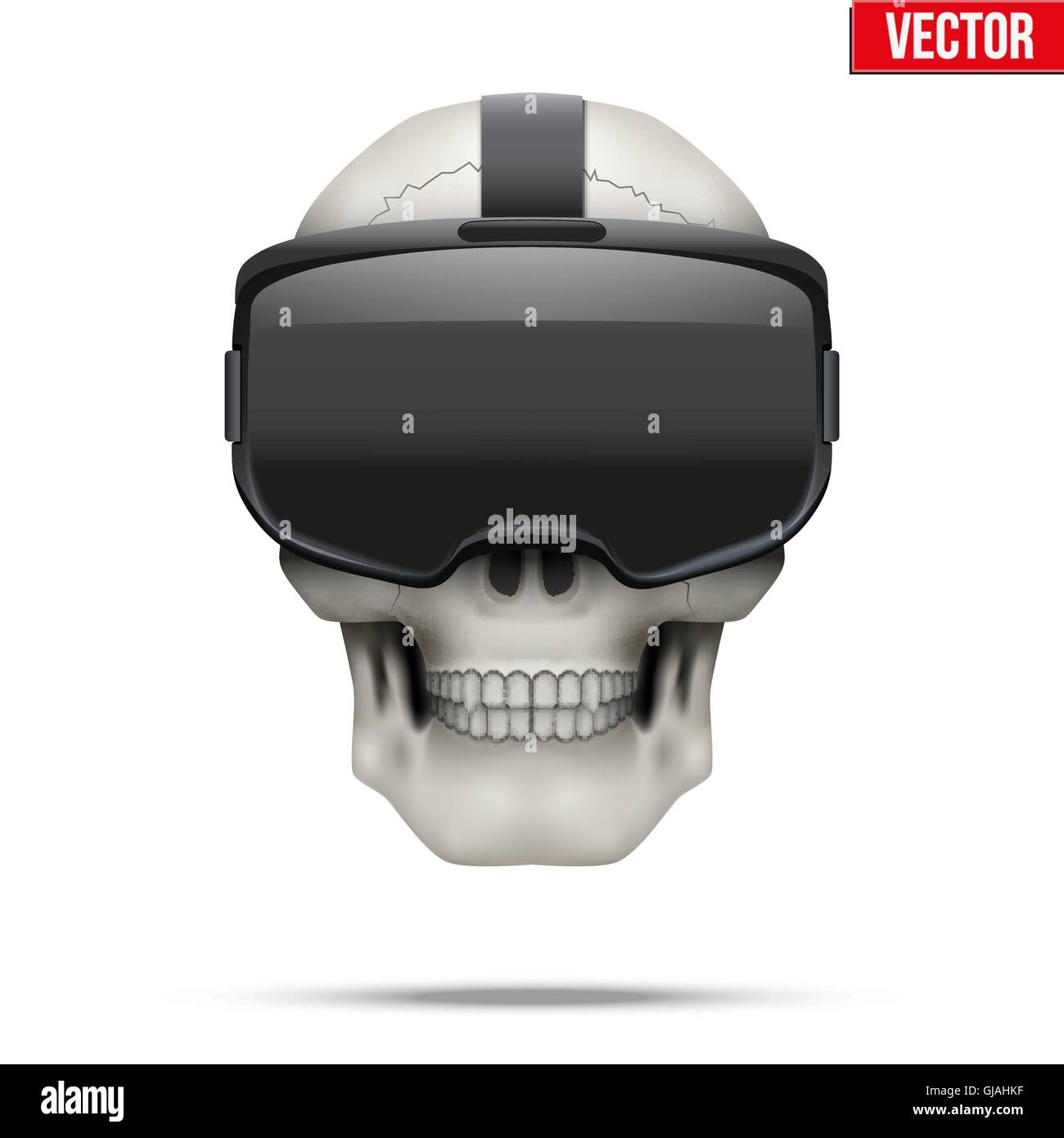 Human skull with VR glasses Stock Vector Image & Art - Alamy