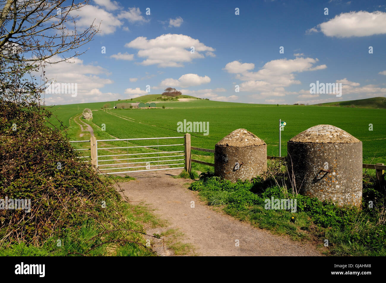 World War Two anti-tank cylinders beside a bridge over the Kennet ...