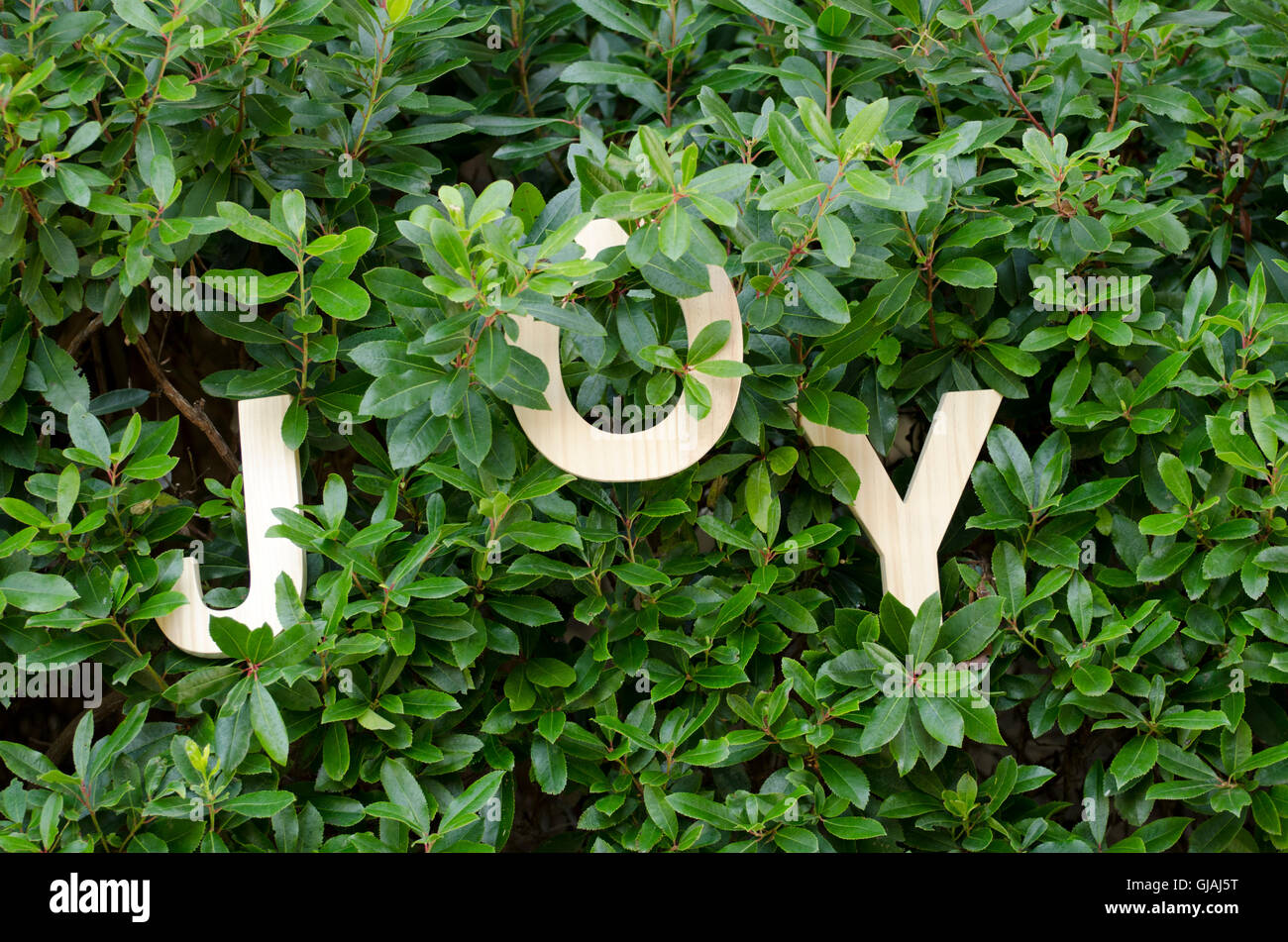 Joy word hi-res stock photography and images - Alamy