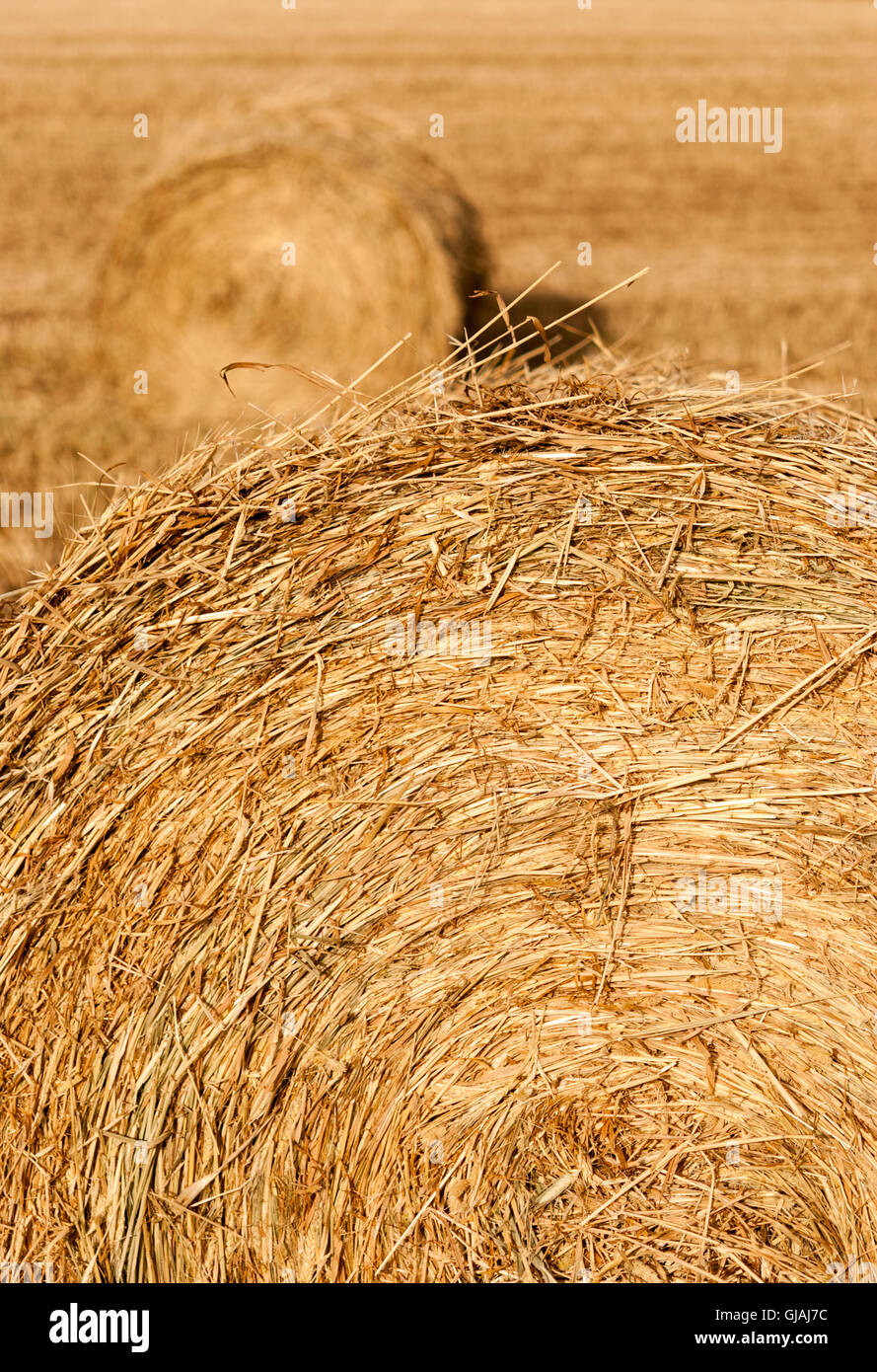 Dry straw rolls closeup Stock Photo - Alamy