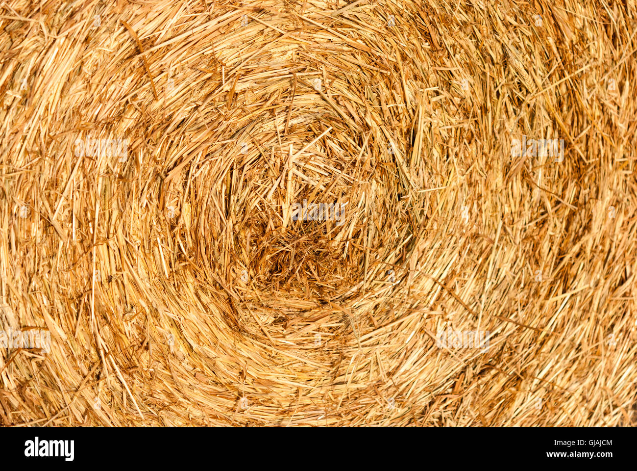 Dry straw roll closeup as a background Stock Photo - Alamy