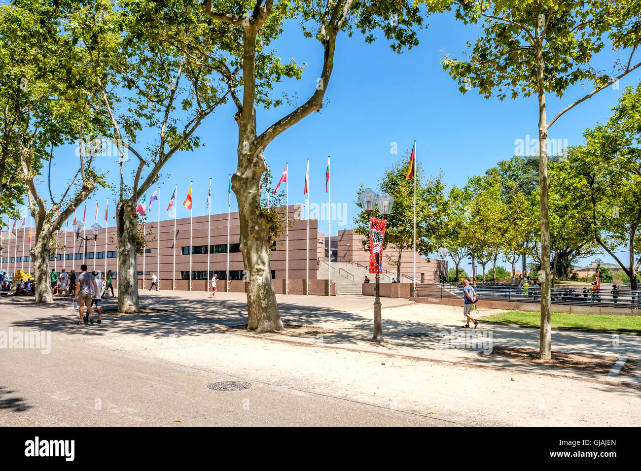 Flags montpellier hi-res stock photography and images - Alamy