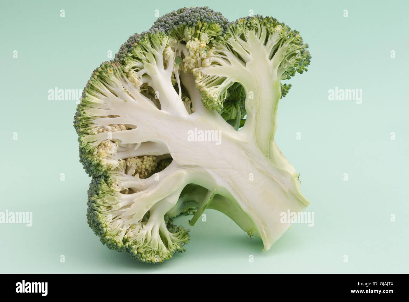 Fresh broccoli cut in a half on a green background closeup Stock Photo ...