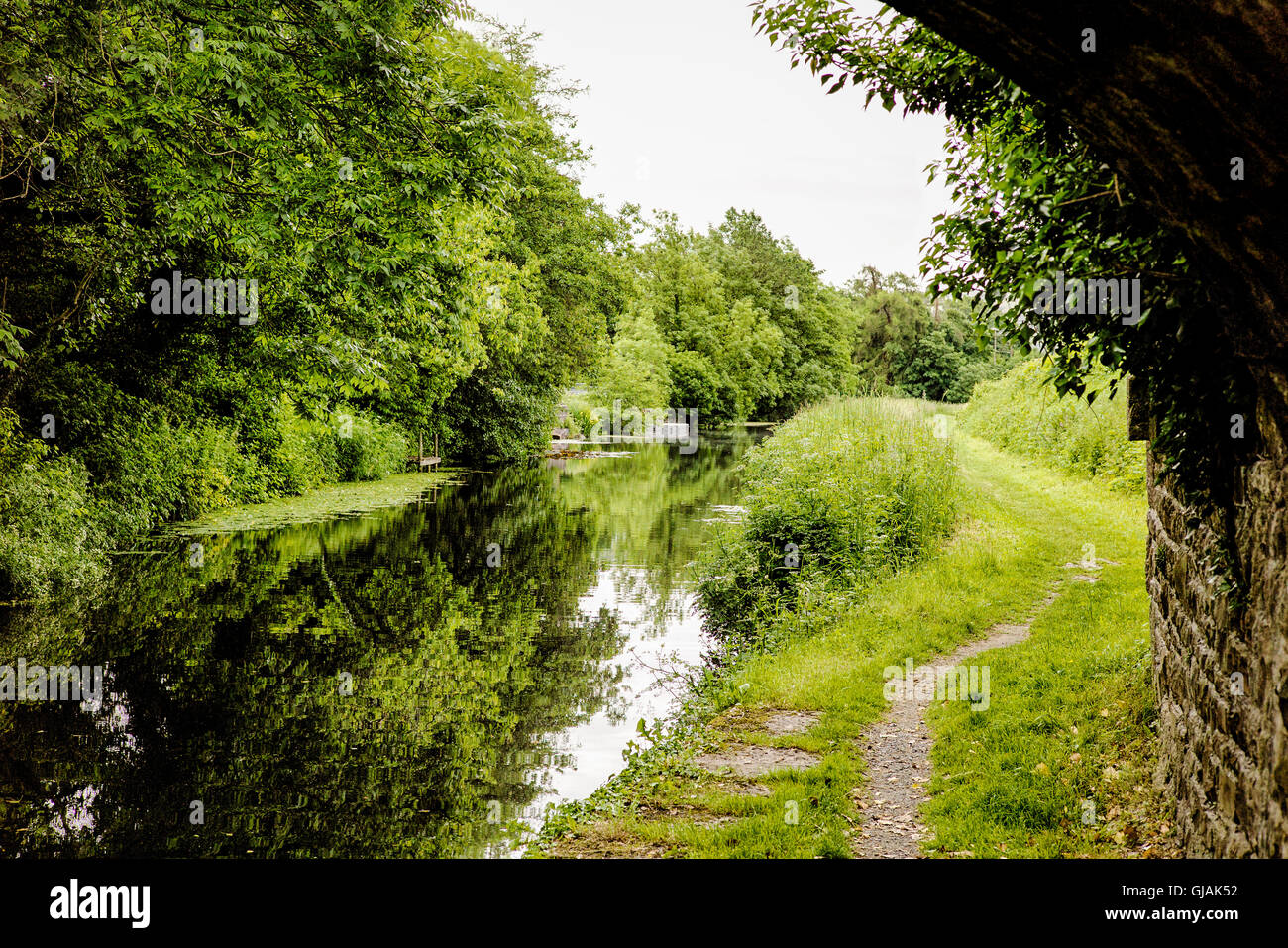 A quiet stretch of the Lancaster canal near Crooklands in Cumbria UK ...