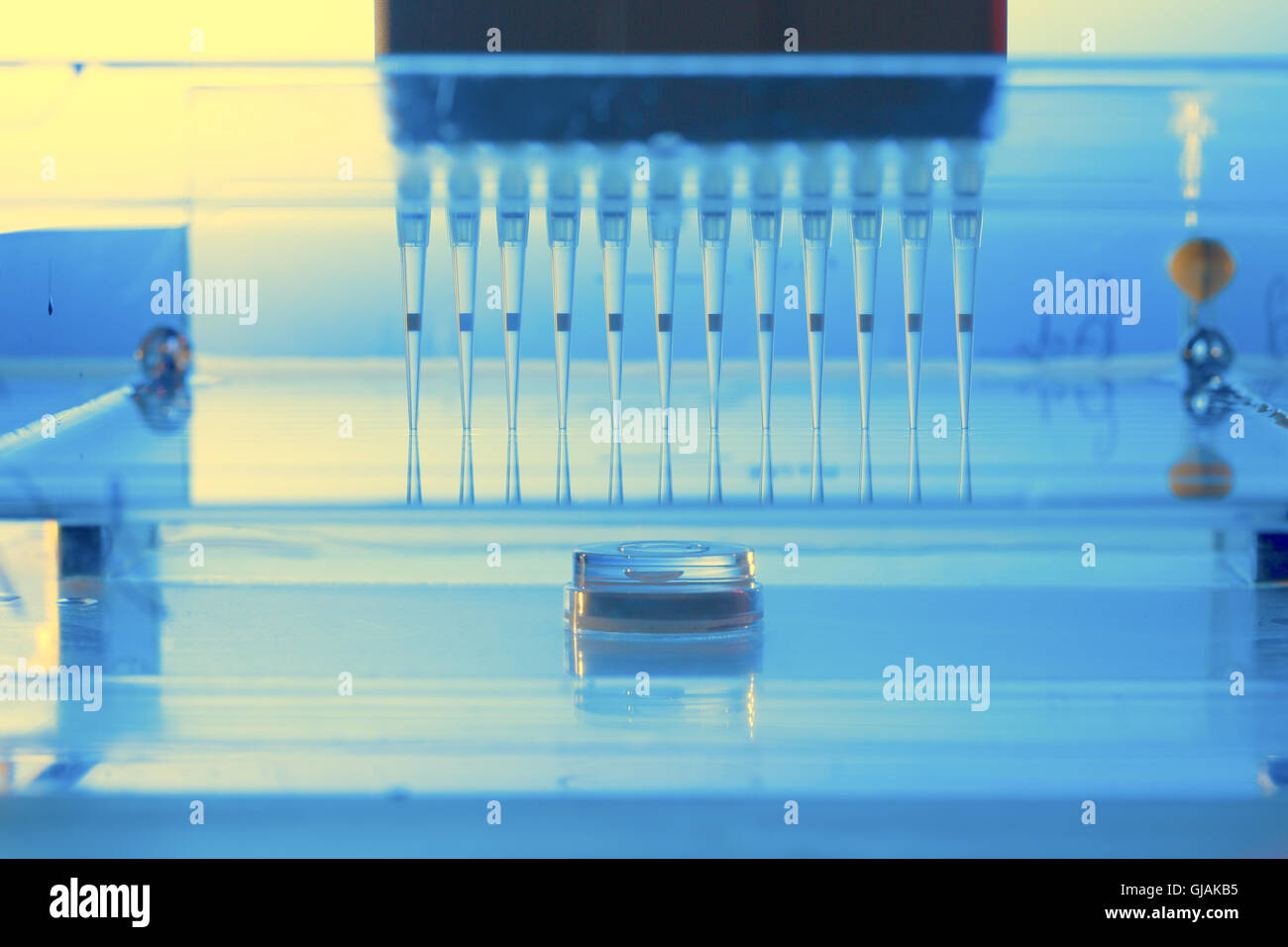 Multipipette High Resolution Stock Photography and Images - Alamy