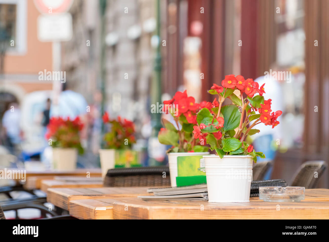 Restaurant table flower hi-res stock photography and images - Alamy