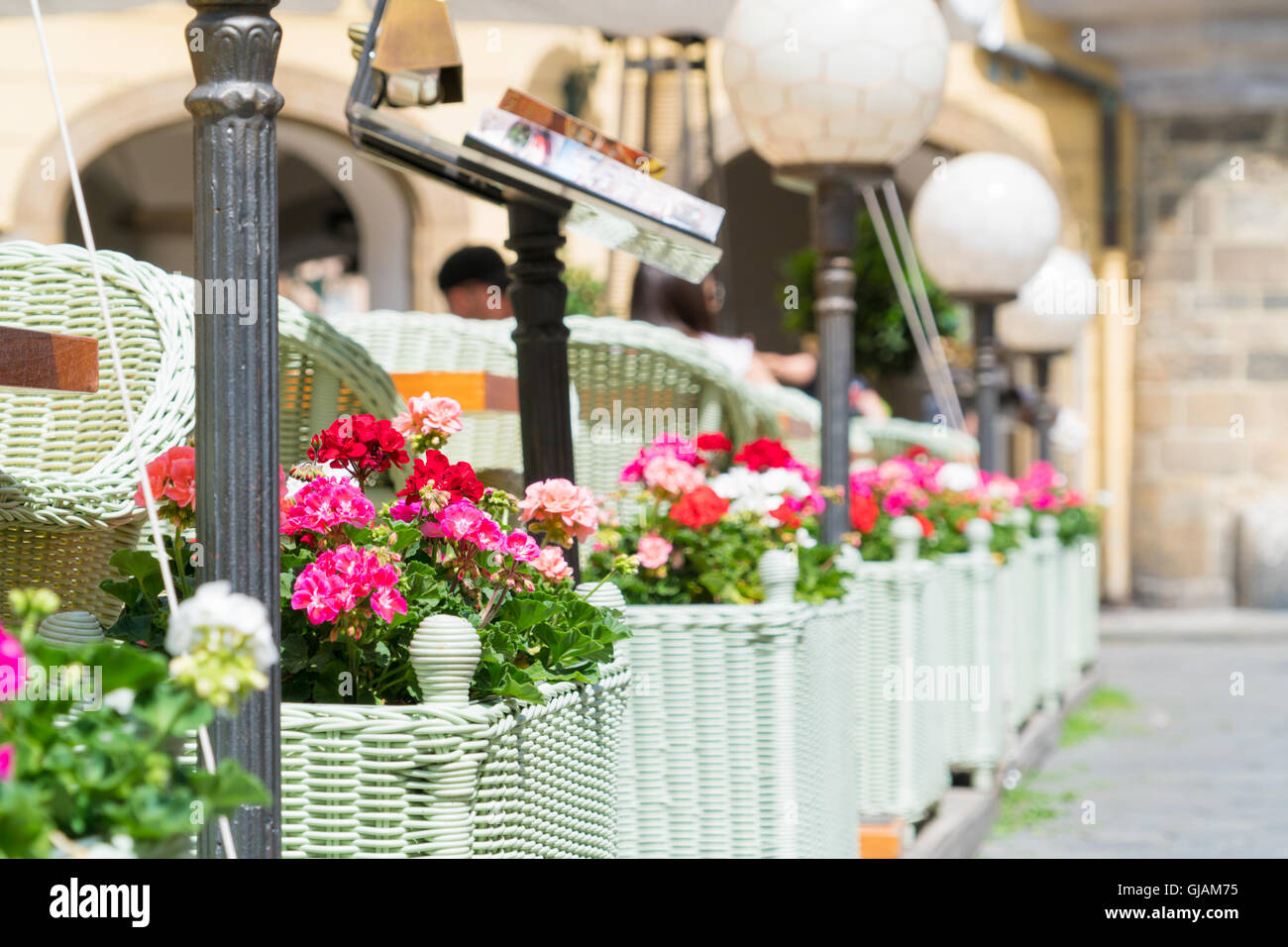 Restaurant table flower hi-res stock photography and images - Alamy