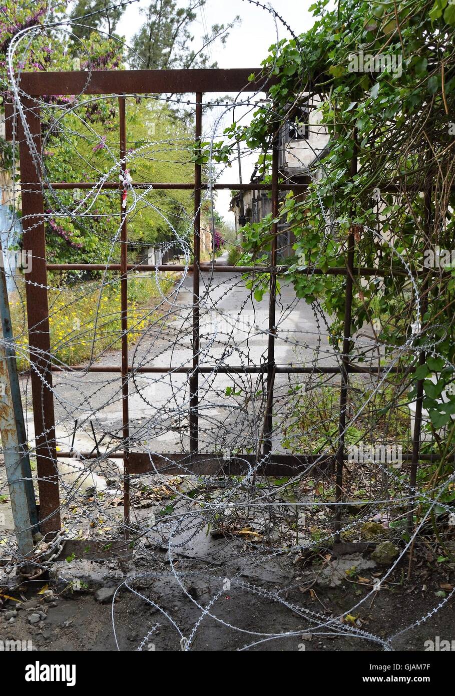 Barbed wire at the buffer zone between Turkish occupied and Republic of ...