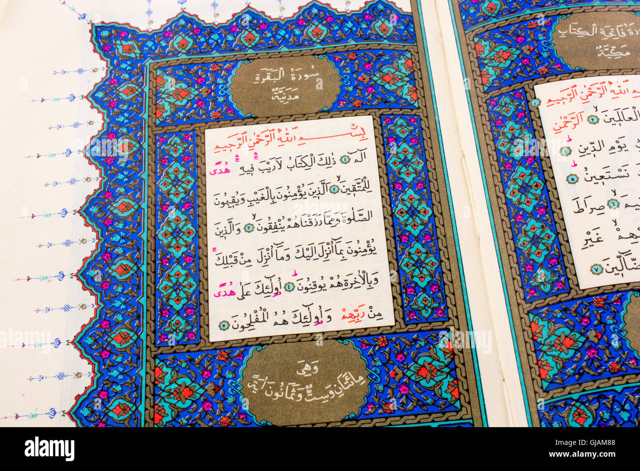 Hand holding The Holy Quran on a white background Stock Photo - Alamy