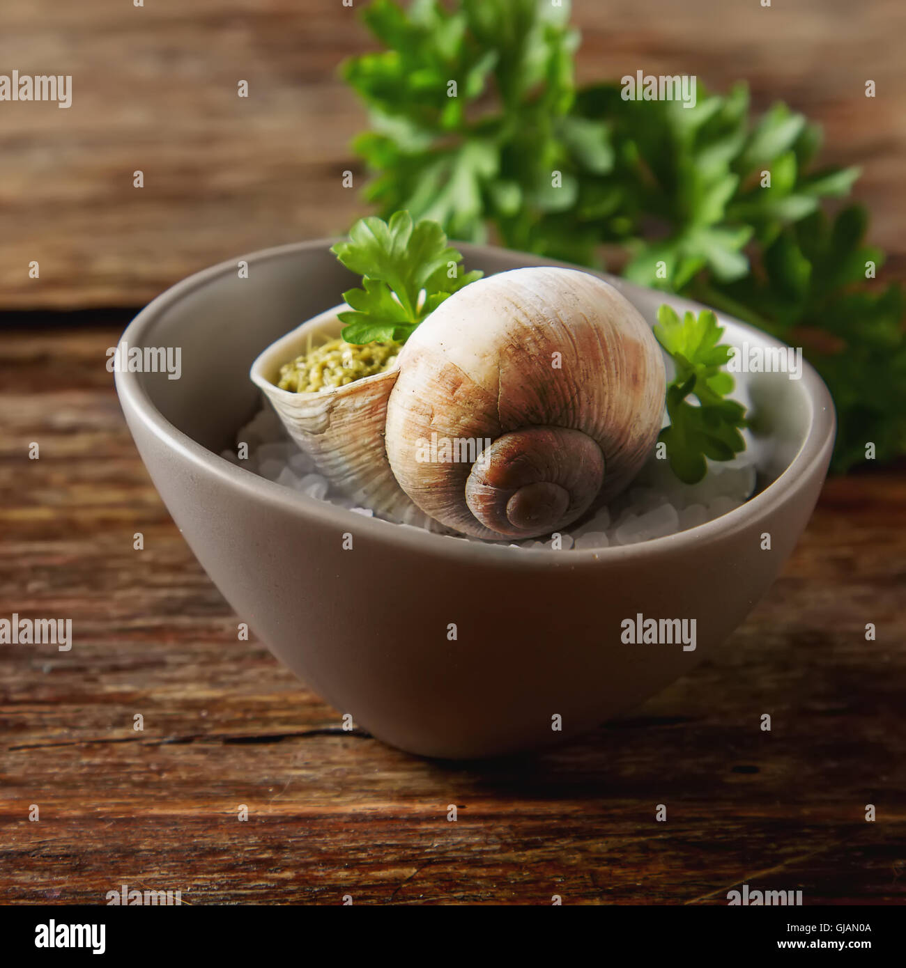 Large Escargots de Bourgogne - Snails baked with garlic butter, with ...