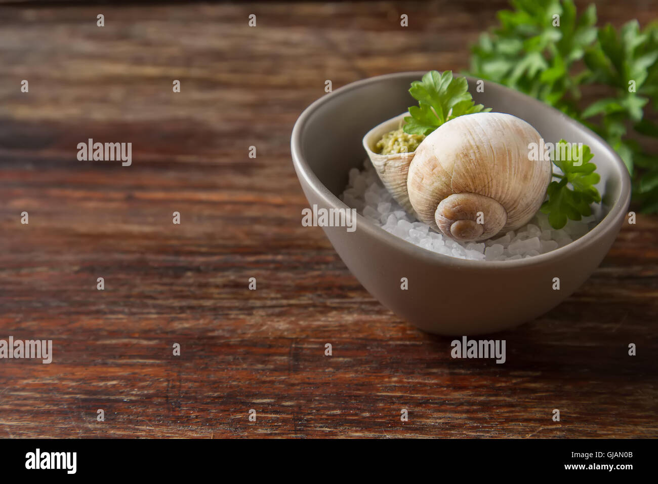 Large Escargots de Bourgogne - Snails baked with garlic butter, with ...