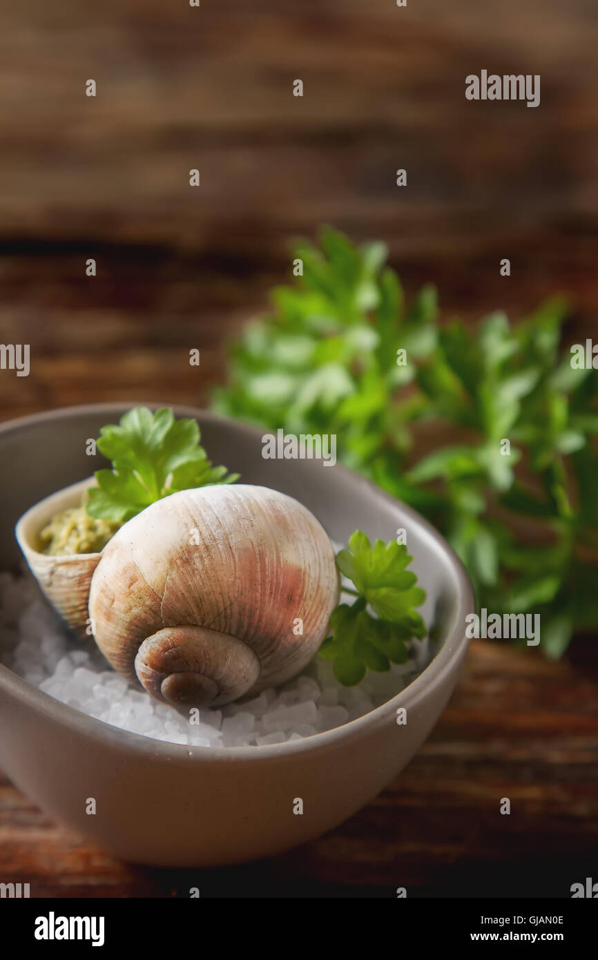 Large Escargots de Bourgogne - Snails baked with garlic butter, with ...