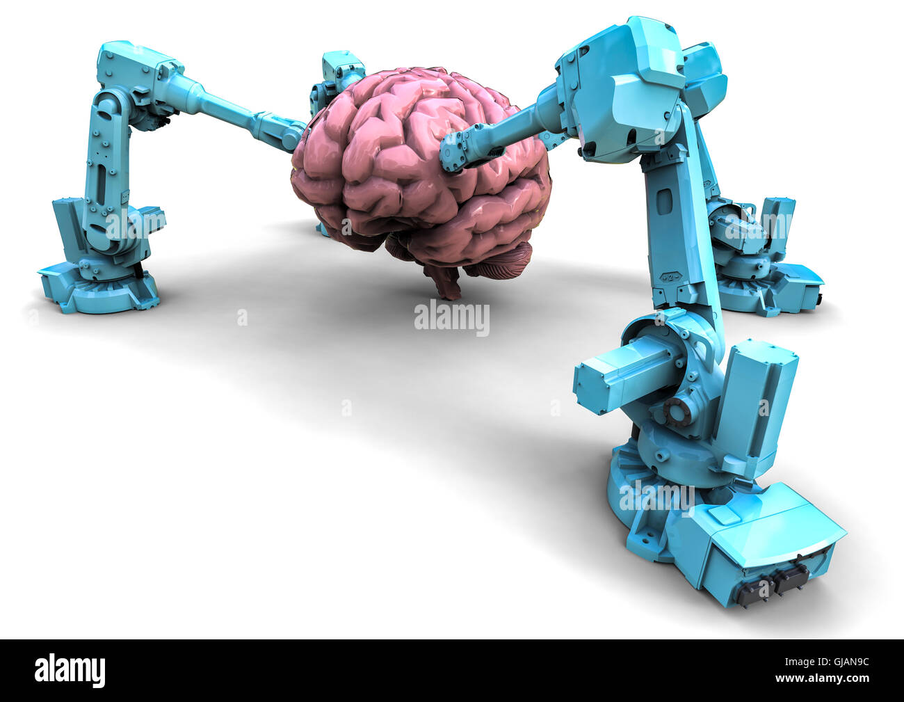 Human brain scan development hi-res stock photography and images - Alamy