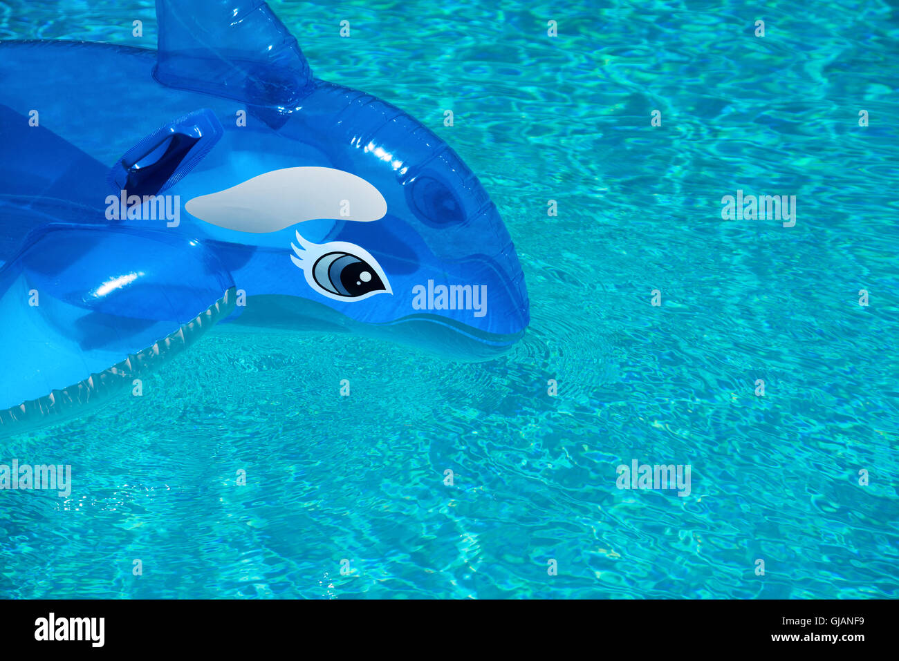 Inflatable dolphin hi-res stock photography and images - Alamy