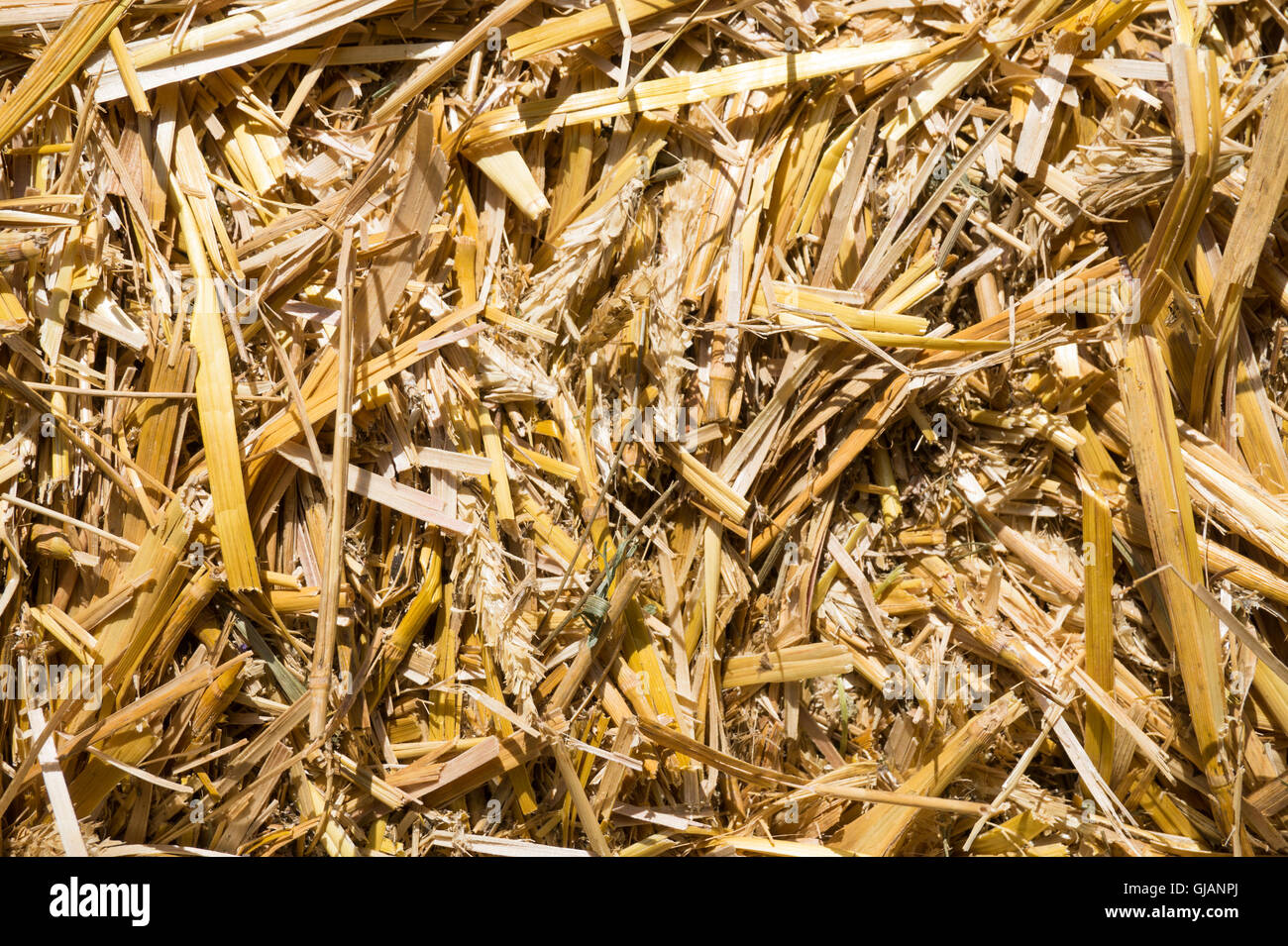 Compressed rye hi-res stock photography and images - Alamy