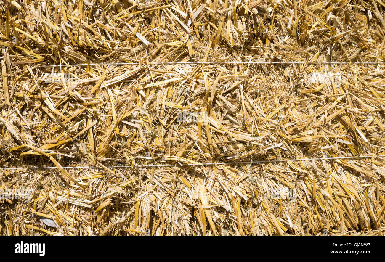 Compressed rye hi-res stock photography and images - Alamy