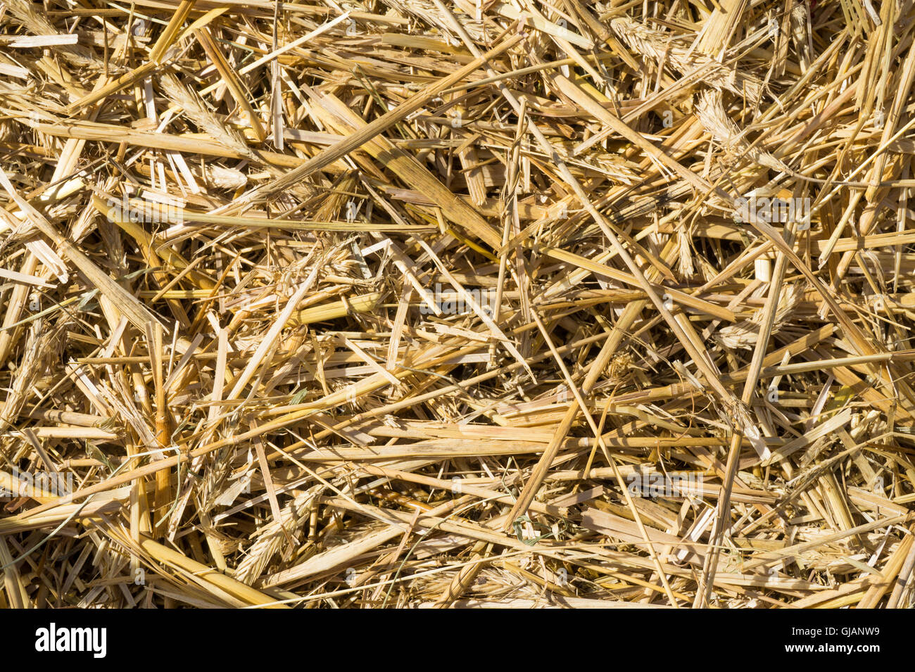 Compressed straw hi-res stock photography and images - Alamy