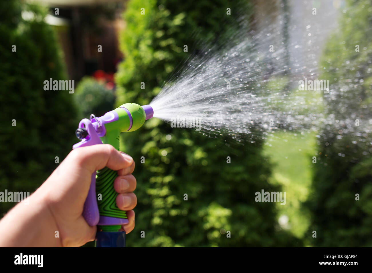 Hand sprinkler hi-res stock photography and images - Alamy