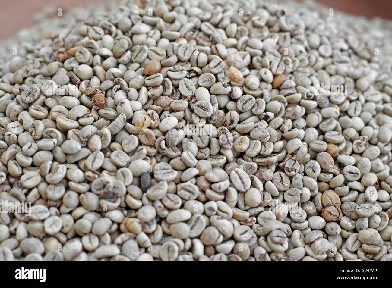 pile of low quality not good coffee beans Stock Photo - Alamy
